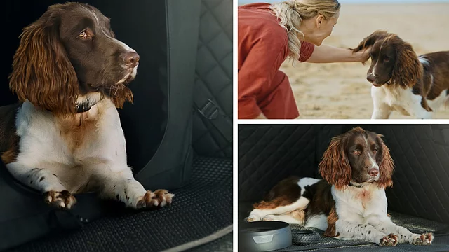 2024. aasta Discovery | Mitmekülgne 7-kohaline perelinnamaastur | Land ...