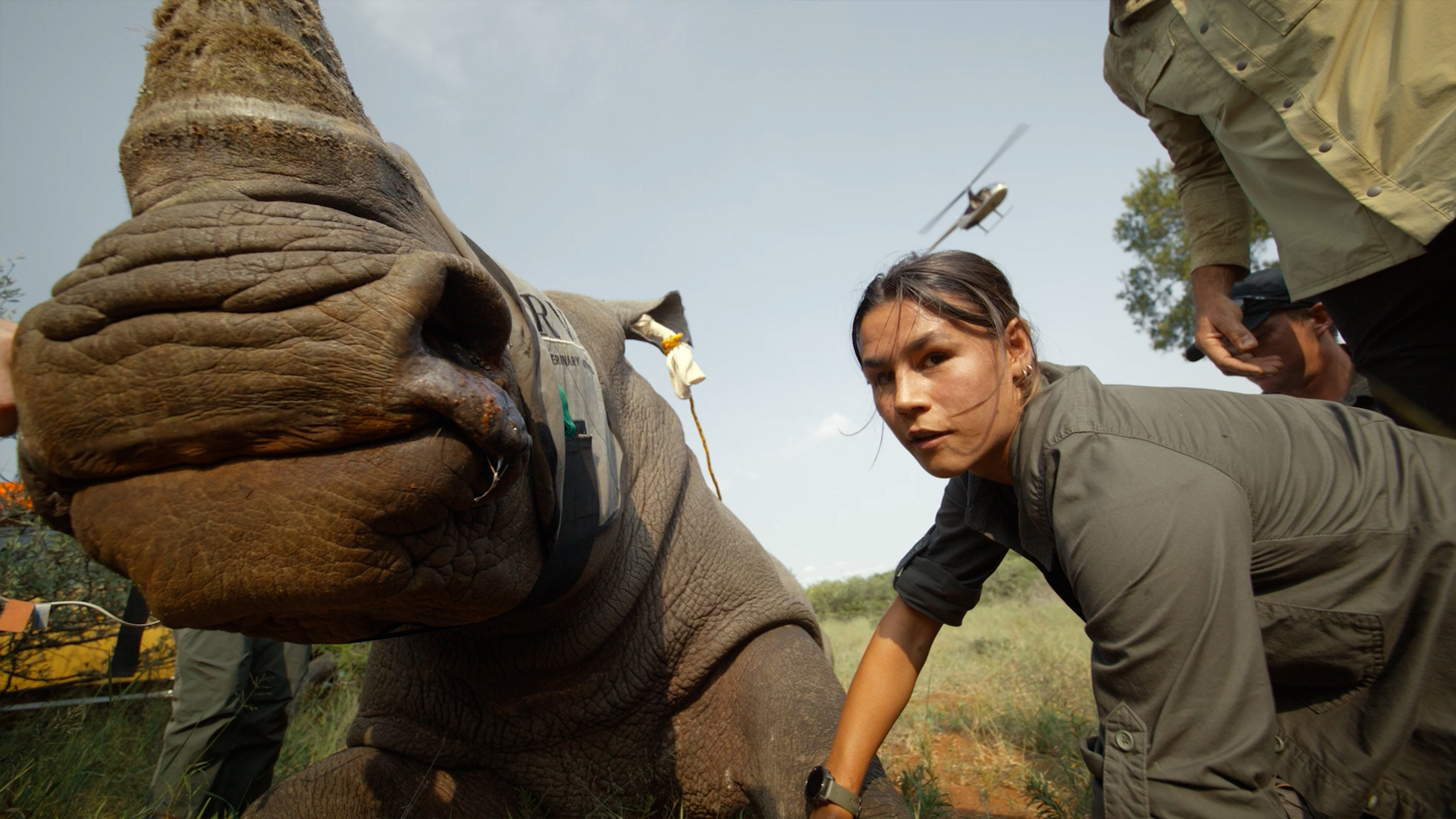 Competitia Defender Trophy | Alaturati-va unei cauze globale | Land ...